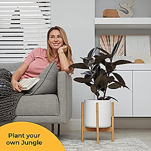 Bees & Buds Plant Stands for Indoor Plants - Mid-Century Modern Tall Plant Stand - 10 inch Bamboo Pot Planter Holder - Flower Planters Holders - EXCLUDING Plant Pot