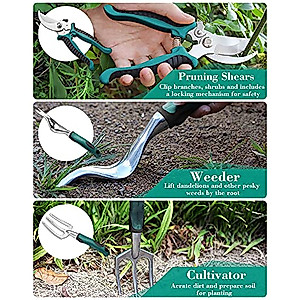 FiveJoy Garden Tool Set, 11 Piece Aluminum Alloy Hand Tool Starter Kit with Garden Bag, Outdoor Tool, Heavy Duty Gardening Work Set with Ergonomic Handle, Gardening Tools-Gift for Women and Men