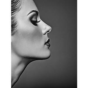 JOVITEC Stainless Steel Nose Stud Set Steel Nose Ring Rose Ball Labret Body Piercing Jewelry for Party Wear or Clothes Matching, 20 G (16 Pieces, Bone Stud)