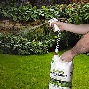 Liquid Fence Deer And Rabbit Repellent Ready-To-Use 1 Gallon, Apply Year-Round, 4 Pack