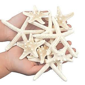 Jangostor 12 PCS Starfish 2-6 Inch Mixed Starfish Natural Seashells Starfish Star Fish Shells Decorations Perfect for Wedding Decor Beach Theme Party, Home Decorations, DIY Crafts, Fish Tank