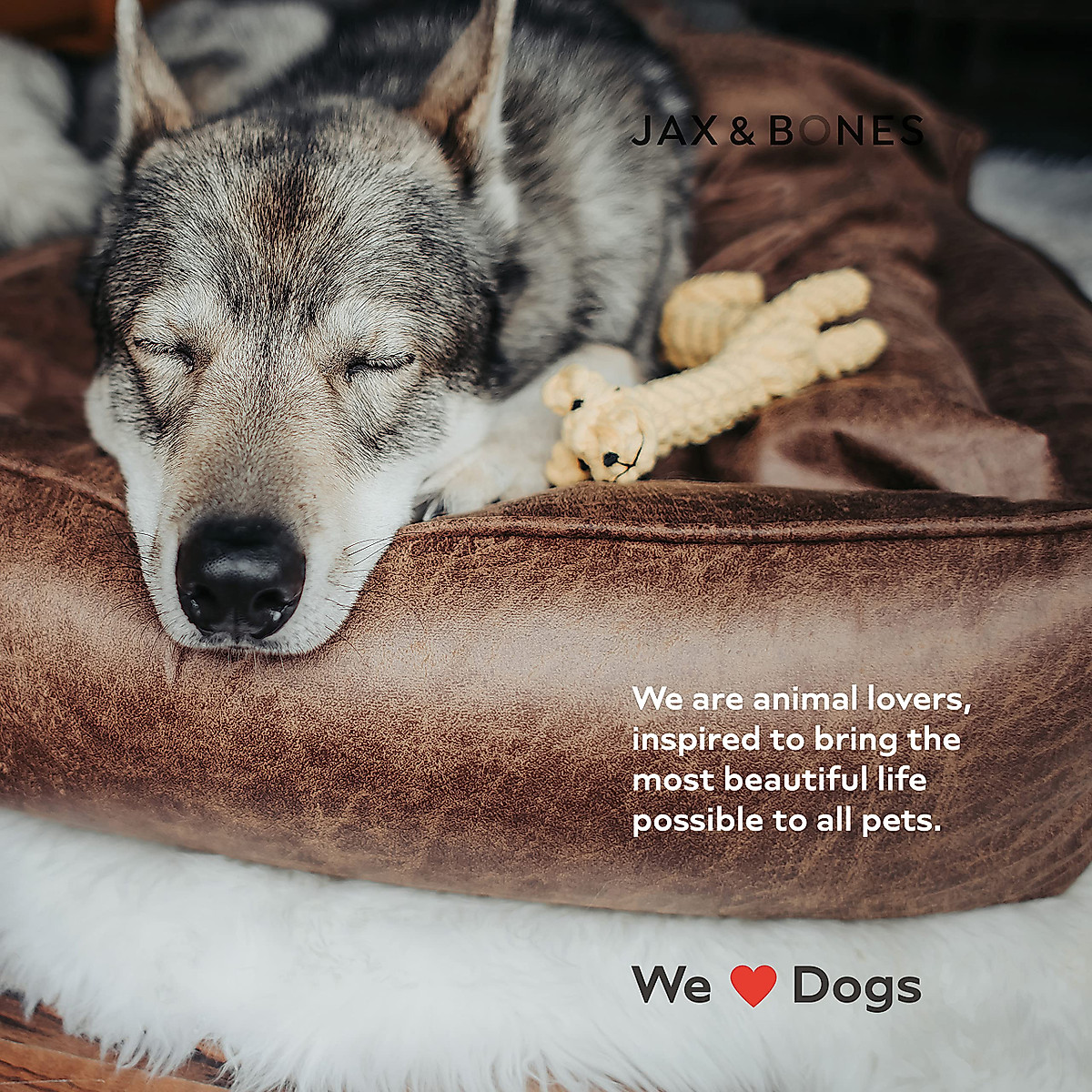 Jax & Bones Dog Rope Toy for Gentle Chewers - 16" Pull Toy for Dogs - Jumbo Tug of War Toy for All Breeds | Brent The Brontosaurus