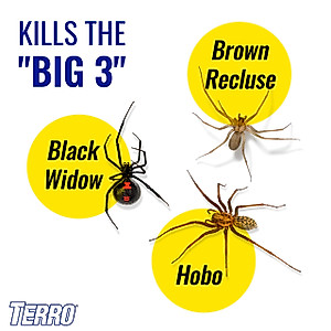 TERRO T2302-6 Spider Killer Spray for Indoors and Outdoors - Kills Spiders, Ants, Roaches, Scorpions, Ticks, Silverfish, and Other Insects