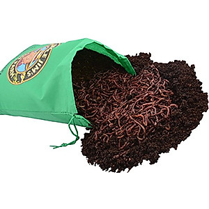 Uncle Jim's Worm Farm Red Wiggler Live Composting Worms Mix for Garden Soil or Fishing | Pack of Compost Worms Improves Soil Structure and Quality for Healthier Gardens | 500 Count