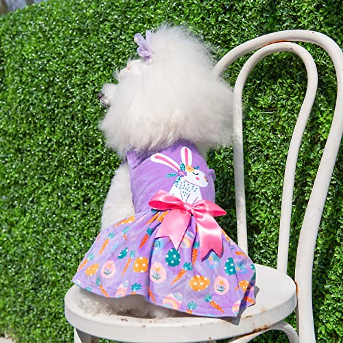 CuteBone White Rabbit Dog Easter Dress Velvet for Small Dogs Girl Eggs Skirt Puppy Purple Dresses Dog Clothes CVA19M-D