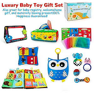 teytoy Baby Toys 6 to 12 Months Tummy Time Mirror Baby Gift Set Newborn Toys 0 3 Months Brain Development Newborn Gift Set High Contrast Baby Toys with Soft Baby Book Buckle Pillow 4 6 9 12 18 Month