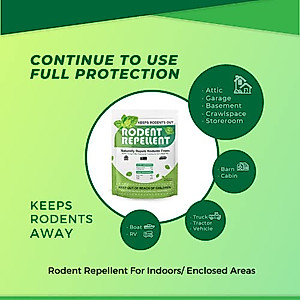 Cadorabo Mice Repellent for House, Peppermint Oil to Repel Mice and Rats, Squirrel Repellent Rodent Deterrent for Indoor Attic RV Garage Basement 10 Mouse Repellent Pouches