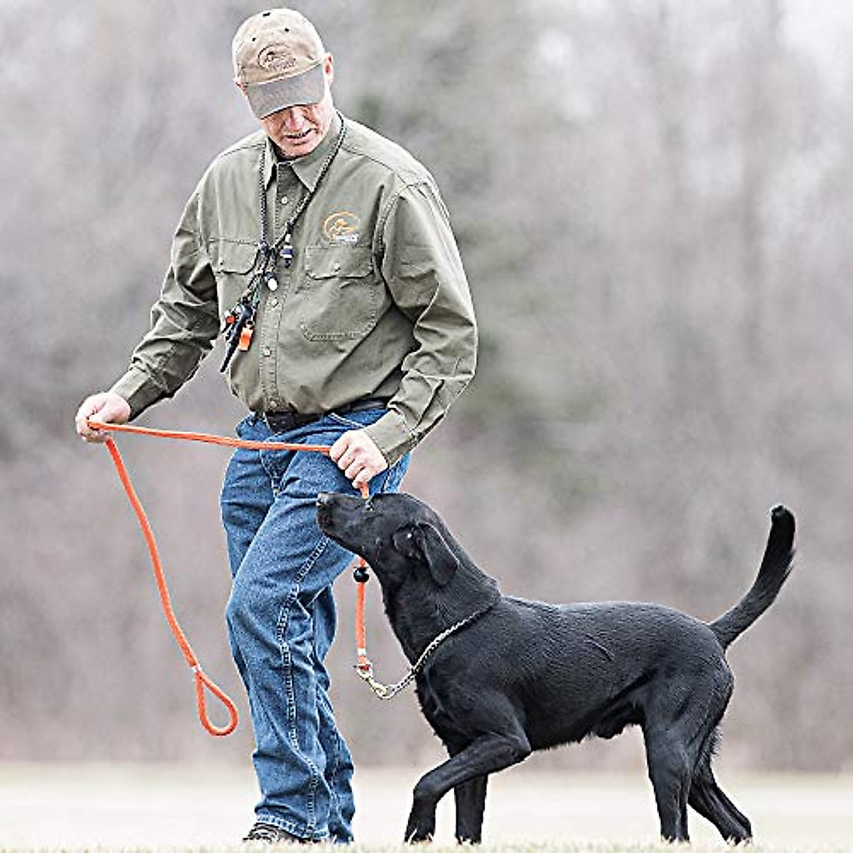 SportDOG Brand Roy Gonia Special Whistle Without Pea - Hunting Dog Training Whistle with Easy-to-Blow Design - Orange