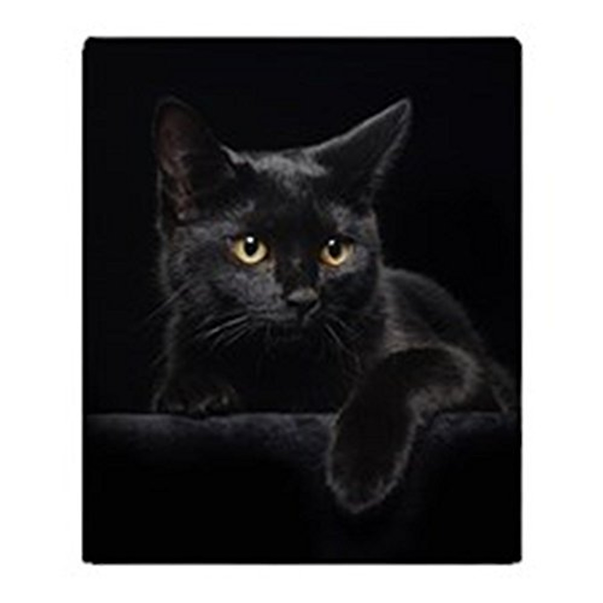 CafePress Black Cat Throw Blanket Super Soft Fleece Plush Throw Blanket, 60"x50"