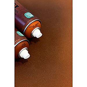 Montana Cans EFFECT Rust Spray Paint, 1 Count (Pack of 1), Brown