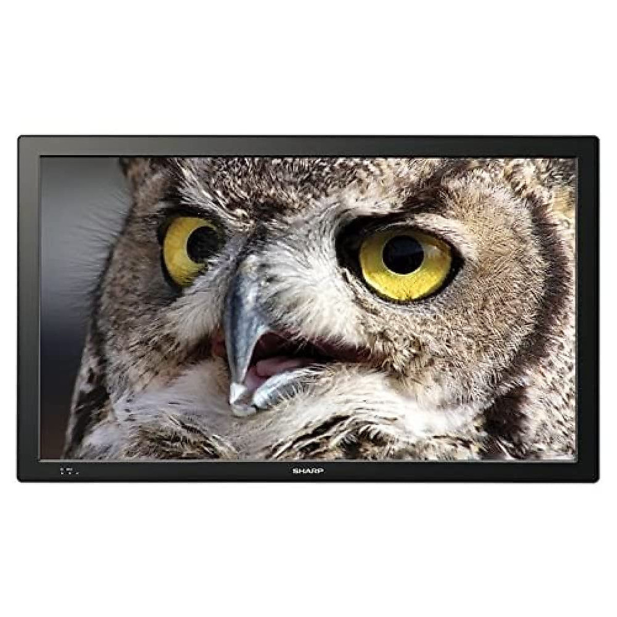 Fellowes Gel Crystals Keyboard Wrist Rest, 18.5 x 2.25, Blue