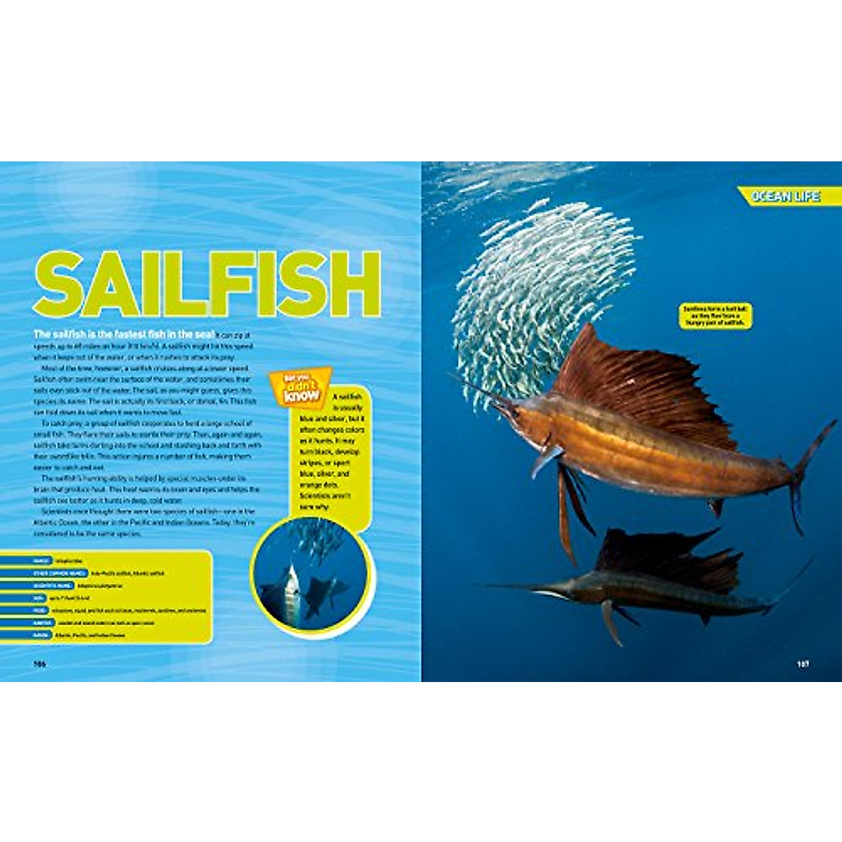 Ultimate Oceanpedia: The Most Complete Ocean Reference Ever (National Geographic Kids)