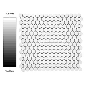 Penny Round Tile Arctic White Porcelain Mosaic Matte Look Wall and Floor Tile (Box of 10 Sheets) for Kitchen Backsplash, Bathroom Floor, Accent Wall