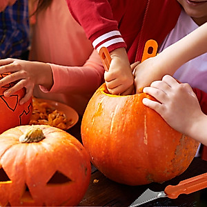 13PCS Pumpkin Carving Kit Tools Heavy Duty Stainless Steel Pumpkin Carving Tools Simple Safe Pumpkin Carving Kit for Kids Adults