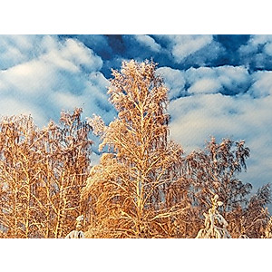 8" X 10" Cold Press Watercolor Fine Art Inkjet Paper - 50 Sheets