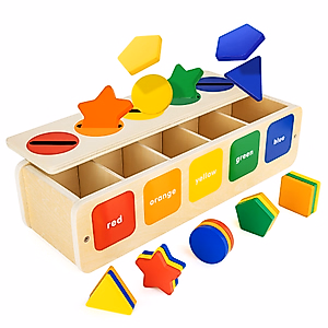 Lynncare Wooden Montessori Toy for 1 2 Year Old, Shape & Color Sorting Toy for Toddlers 1-3, Shape & Color Matching Toy with Box, Preschool Sensory Learning Toys for 1 2 3 Year Old Boy Girl Gifts