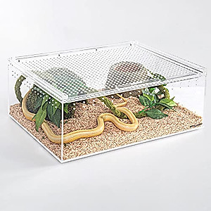 REPTI ZOO Magnetic Acrylic Enclosure, 16x12x6 Inch 5 Gallon Reptile Breeding Box Habitat Terrariums Cage for Tarantula Scorpion Sling Isopods Lizards Roach Invertebrates Spider Snake