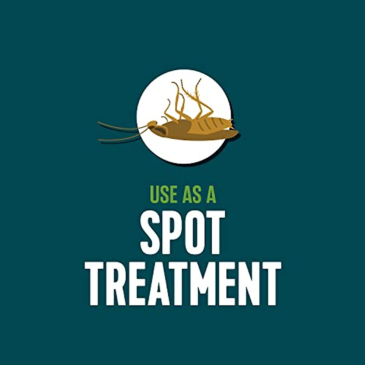 Ecologic Eco-Logic Ant & Roach Killer, Pack of 12