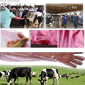 UoYu Disposable Soft Plastic Film Gloves Long Arm Examination Artificial Insemination Glove (10 Pcs/Pink)