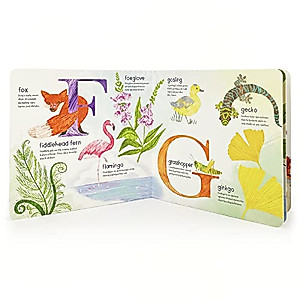 ABCs of Nature: A Wild & Wonderful Alphabet Experience - ABC Learning Book for Toddlers, Kindergartners, and Curious Minds with Fun Fact Bites, Ages 1-5