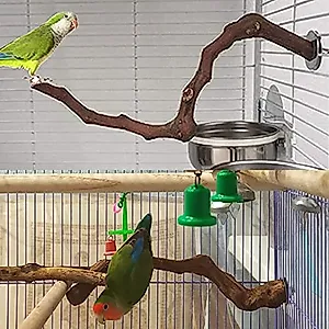 kathson Natural Parrot Perch Bird Stand Pole Wild Grape Stick Paw Grinding Fork Parakeet Climbing Standing Branches Toy Chewable Cage Accessories for Small Budgies Cockatiels Lovebirds 4PCS