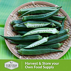Survival Garden Seeds - Clemson Spineless Okra Seed for Planting - Packet with Instructions to Plant and Grow Tender and Large Okra in Your Home Vegetable Garden - Non-GMO Heirloom Variety