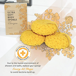 Spongentle Deep Cleansing Body Loofah Sponge, Natural Colors, for Bath and Shower, Multiple Textures for Gentle and Deep Exfoliation, Generous and Rich Lather, (Pack of 3)