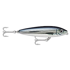 Rapala Saltwater Skitter Walk 11 Mullet