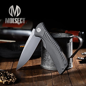 MOLSECT Coastline Pocket Folding Knife, Liner Lock EDC Knives 3.37" Satin 14C28N Blade G10 Handle, Everyday Carry Knife with Clip for Men Women Gift Outdoor Indoor Hiking Camping Fishing Work