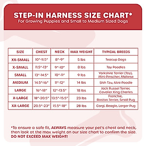 Downtown Pet Supply Step in Dog Harness for Small Dogs No Pull, Medium, Red - Adjustable Harness with Padded Mesh Fabric and Reflective Trim - Buckle Strap Harness for Dogs