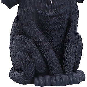 Nemesis Now Cult Cuties Malpuss Hanging Ornament 9.2cm, Resin, Black, Malpuss Winged Occult Cat Hanging Ornament, Bat Cat, Cast in The Finest Resin, Carefully Hand-Painted