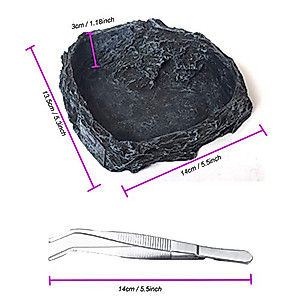 Tfwadmx Resin Reptile Food Bowls, Reptile Rock Feeder Dish, Amphibian Water and Food Bowls with Feeding Tweezers Tong for Leopard Gecko Lizard Frog Snake Chameleon Tortoise
