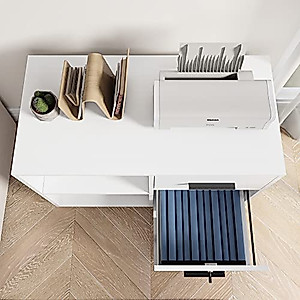 WAHEY File Cabinet, 2 Drawer Mobile Lateral Filing Cabinet with Open Storage Shelf, OLFC002