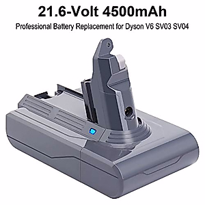 Biswaye 21.6V 4.5Ah V6 Lithium Battery Replacement for Dyson DC62 DC59 DC58 SV03 SV04 SV09 V6 Animal Motorhead V6 Slim V6 Absolute V6 Fluffy Vacuum Battery, with 2 Filters