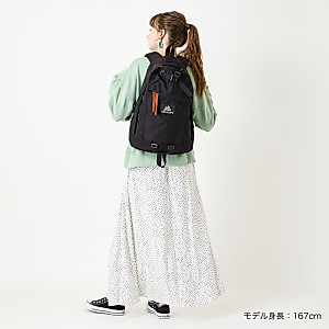Gregory (Day Pack) official Black Backpack [Japan import]