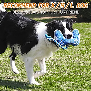 MTERSN Cute Squeaky Dog Toys : Blue Game Controller Plush Dog Toy and Funny Puppy Chew Toys with Full Crinkle Paper - Cool Dog Birthday Toys for Small, Medium and Large Dogs