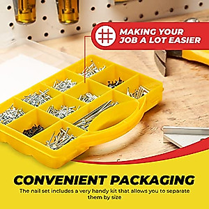 Top Quality Nail Assortment Kit – Over a 1800 Multipurpose Hardware Nails - 11 Different Sizes – Non Bendable & Sturdy - Compact Organized Box