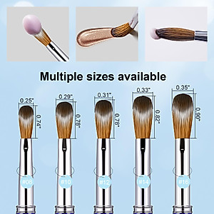 Shine Chance Acrylic Nail Brush Size 8, 100% Pure Kolinsky 3D Art Nail Brush with Gradient Blue Handle, Art Design Powder Nail Brush Pen for Nails Extension & Carving, Acrylic Application Tools