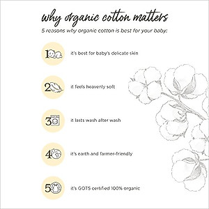 Burt's Bees Baby Baby Boys' 2 Pack Non-Slip Footed Sleeper Pajamas, Midnight Rugby Stripe/Midnight Twinkle Bee, 12 Months