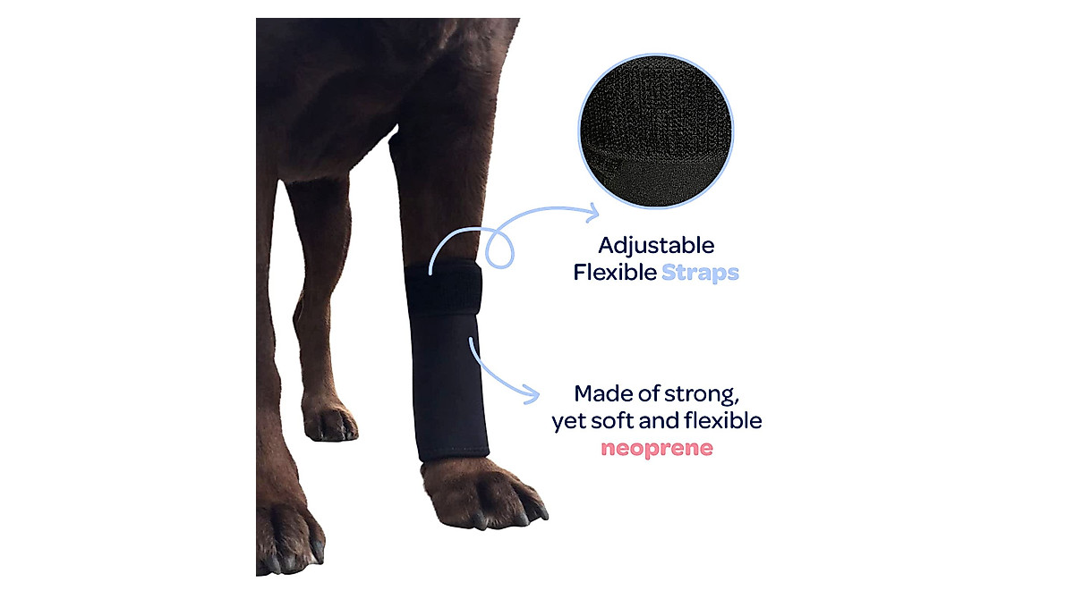 Labra Dog Compression Brace - Support for Active Dogs