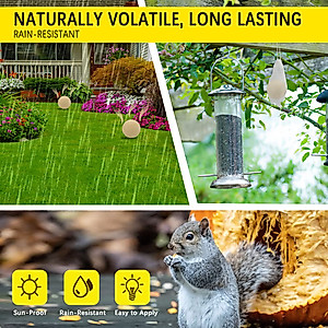 ANEWNICE Squirrel Repellent,Chipmunk Repellent, Squirrel Repellents Outdoor,Squirrels Deterrent for Garden/Bird Feeders/Attic/Cars/Shed, Squirrel Away,Mint Rodent Repellent- 8-Packs