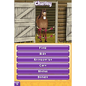 Pony Friends 2 - Nintendo DS