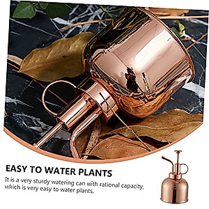 HANABASS 1PC Stainless Steel Sprinkling Can small plant watering cans for pump spray bottle spray bottles for plants Gardening Watering Pot rose gold 304 stainless steel hand pressure