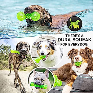 Hyper Pet Dura-Squeaks Stick Dog Toy, Large