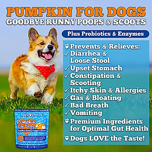 Well Loved Pumpkin for Dogs - Pumpkin Puree, Canned Pumpkin (Alternative), Fiber for Dogs, Probiotic Powder, Pumpkin Powder, Dog Diarrhea, Digestive Support, Perfect for Firm Poops and No Scoots, 6 oz