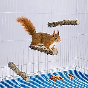 Mogoko Natural Wood Bird Perch Stand, Hanging Multi Branch Perch for Parrots, Parakeets Cockatiels, Conures, Macaws, Love Birds, Finches (Style 4)