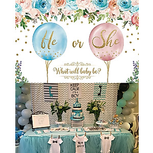 Baby Gender Reveal Party Decoration Baby Shower Backdrop Photo Background Banner Poster for Baby Gender Reveal Party Decorations Party Supplies 70.8 x 47.2 Inch
