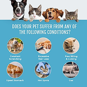 Healthy Stuff Online - Pet Sensitivity and Intolerance Test - Pet, Dietary, Sensitivity, Intolerance, at-Home Testing, Cats, Dogs, Horses - Animal DNA, Fast, Easy, Lab Results