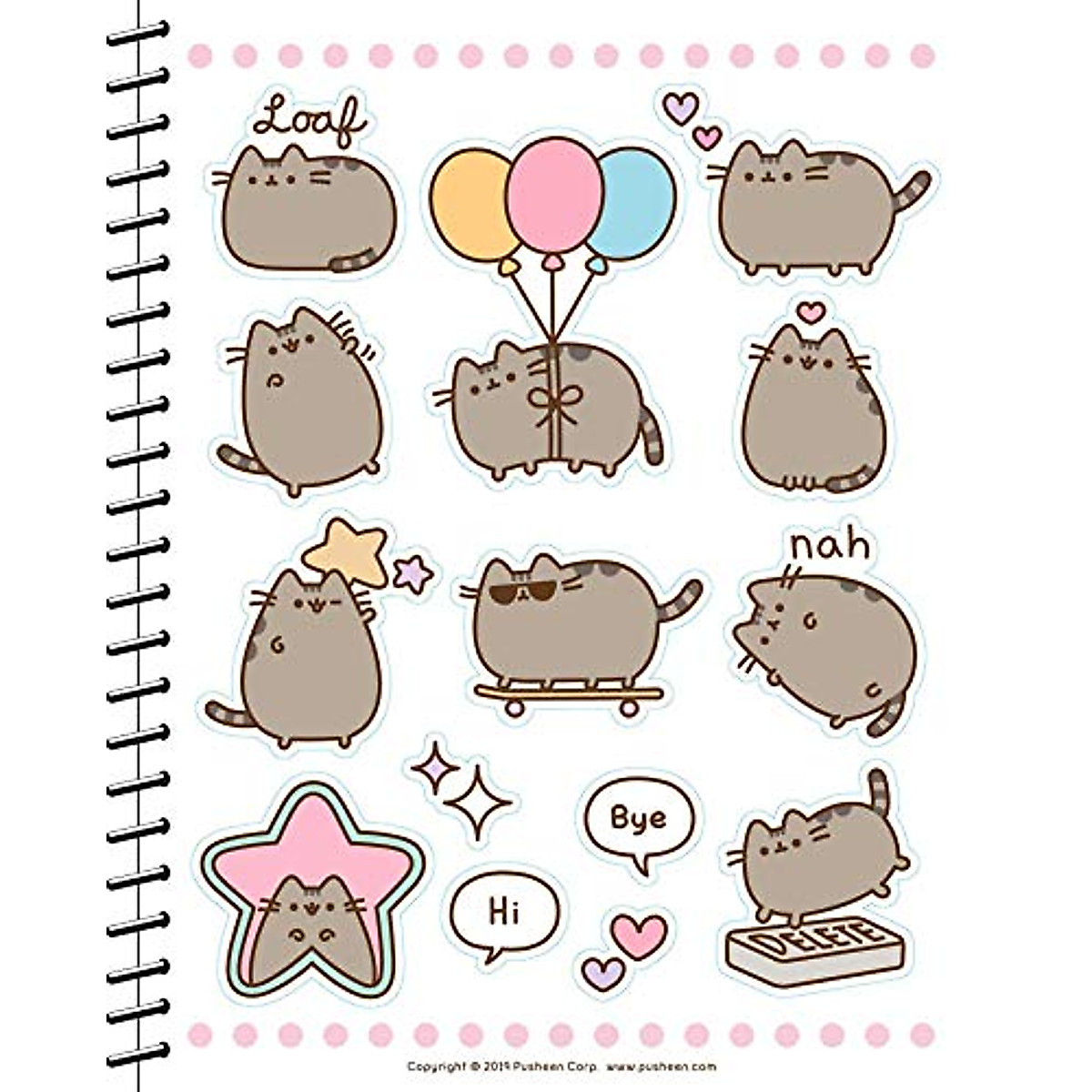 Pusheen 2019-2020 Weekly/Monthly Planner Calendar