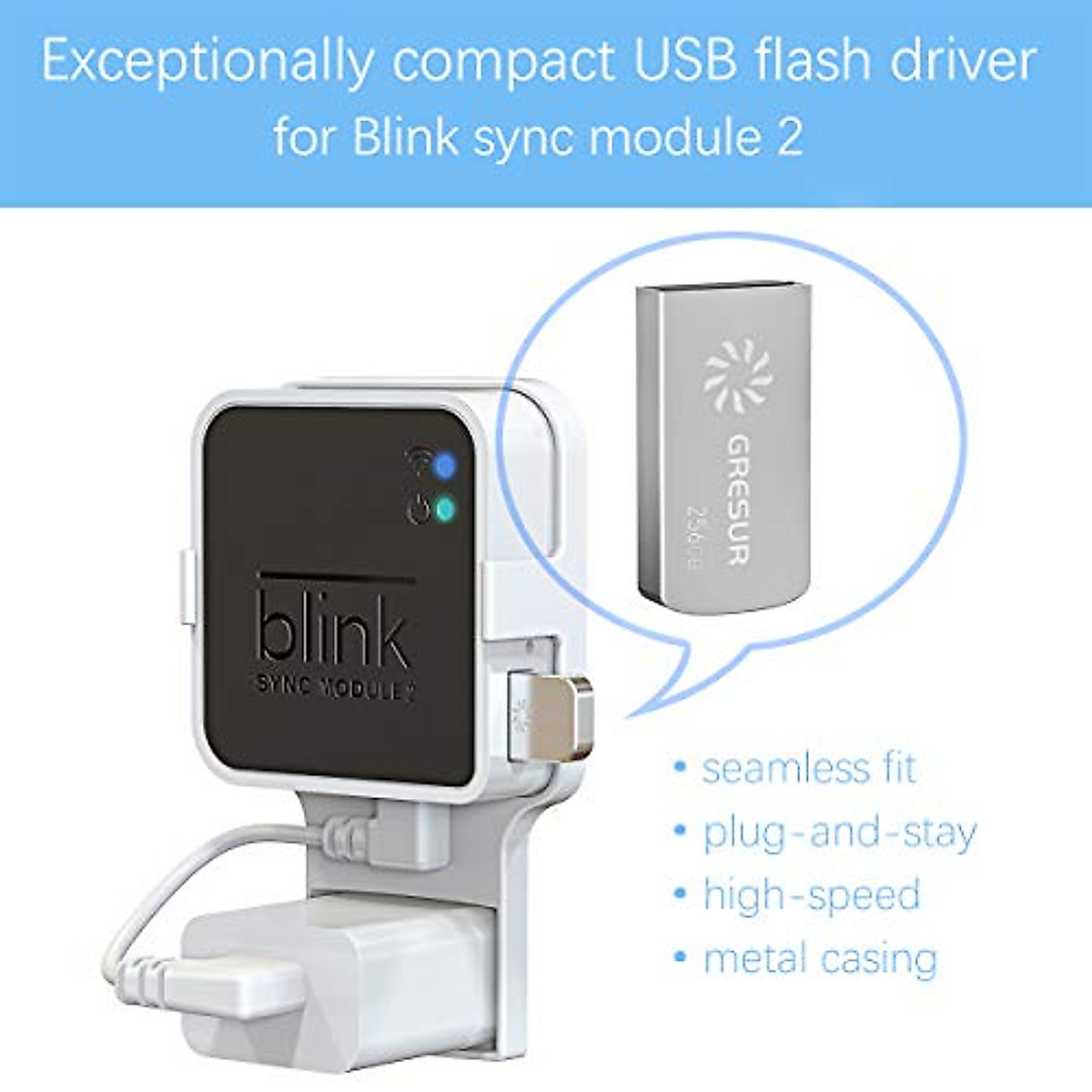 256GB Blink USB Flash Drive for Local Video Storage with The Blink Sync Module 2 Mount (Blink Add-On Sync Module 2 is NOT Included)…